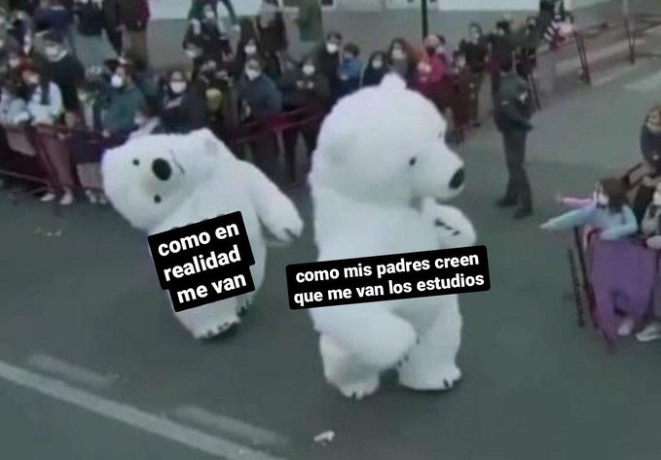Memes Del Oso