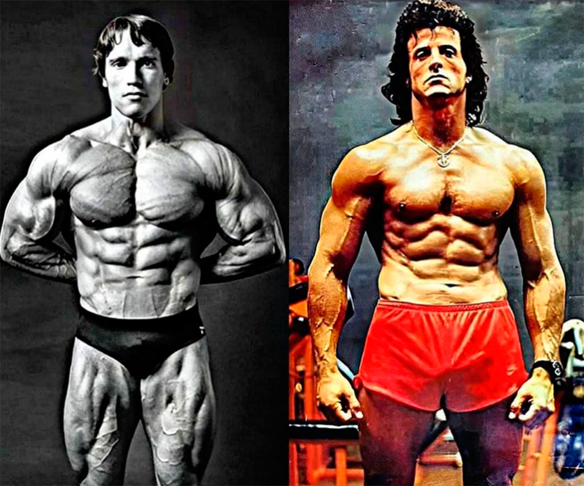 Arnold Schwarzenegger Contra Sylvester Stallone Sylvester Stallone Y