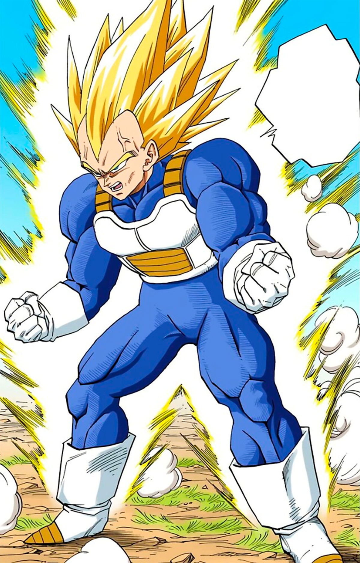 Vegeta Echt Leven