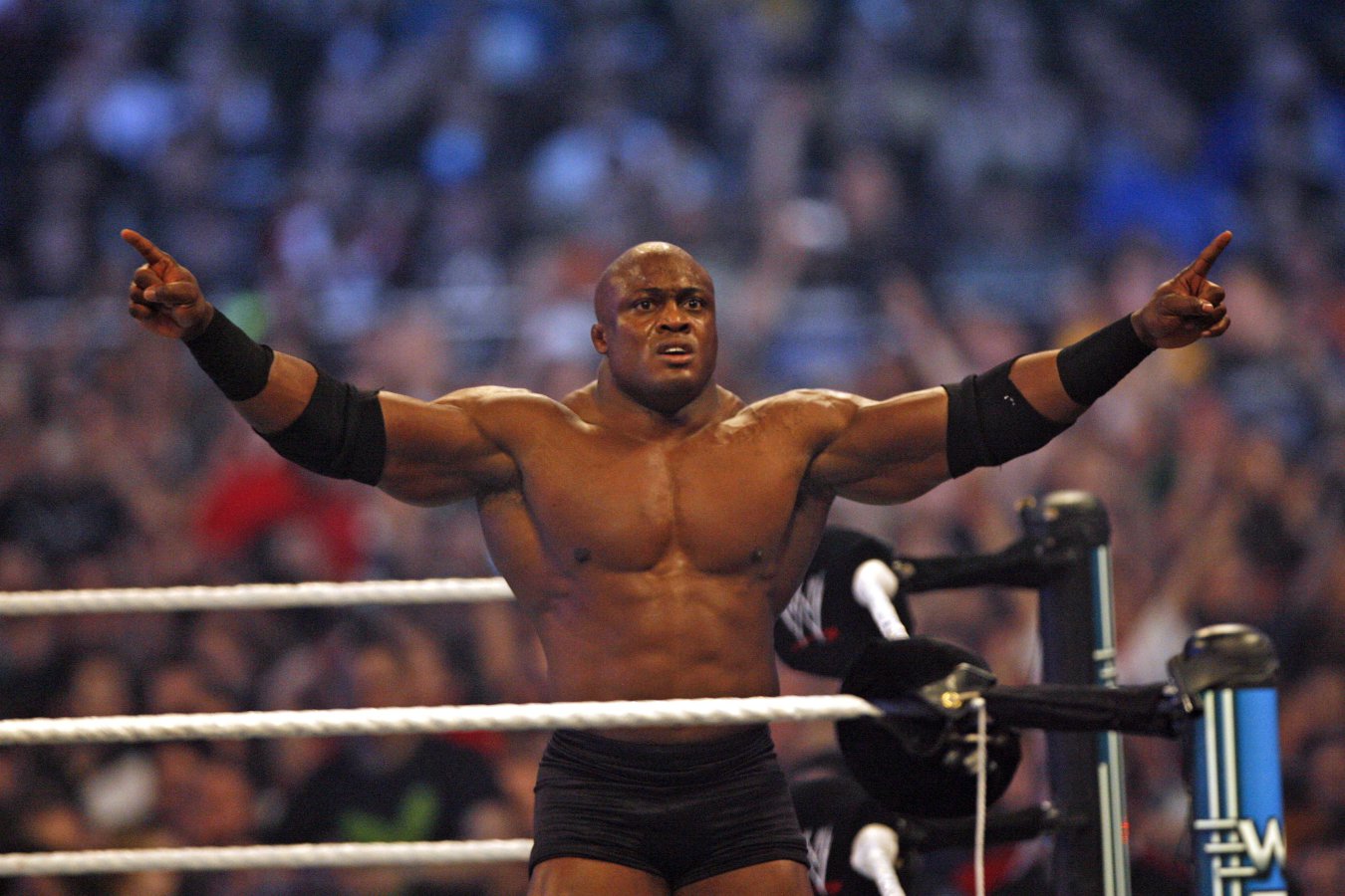 Lista De Luchadores De La Wwe 2007 La Familia (lucha Libre)