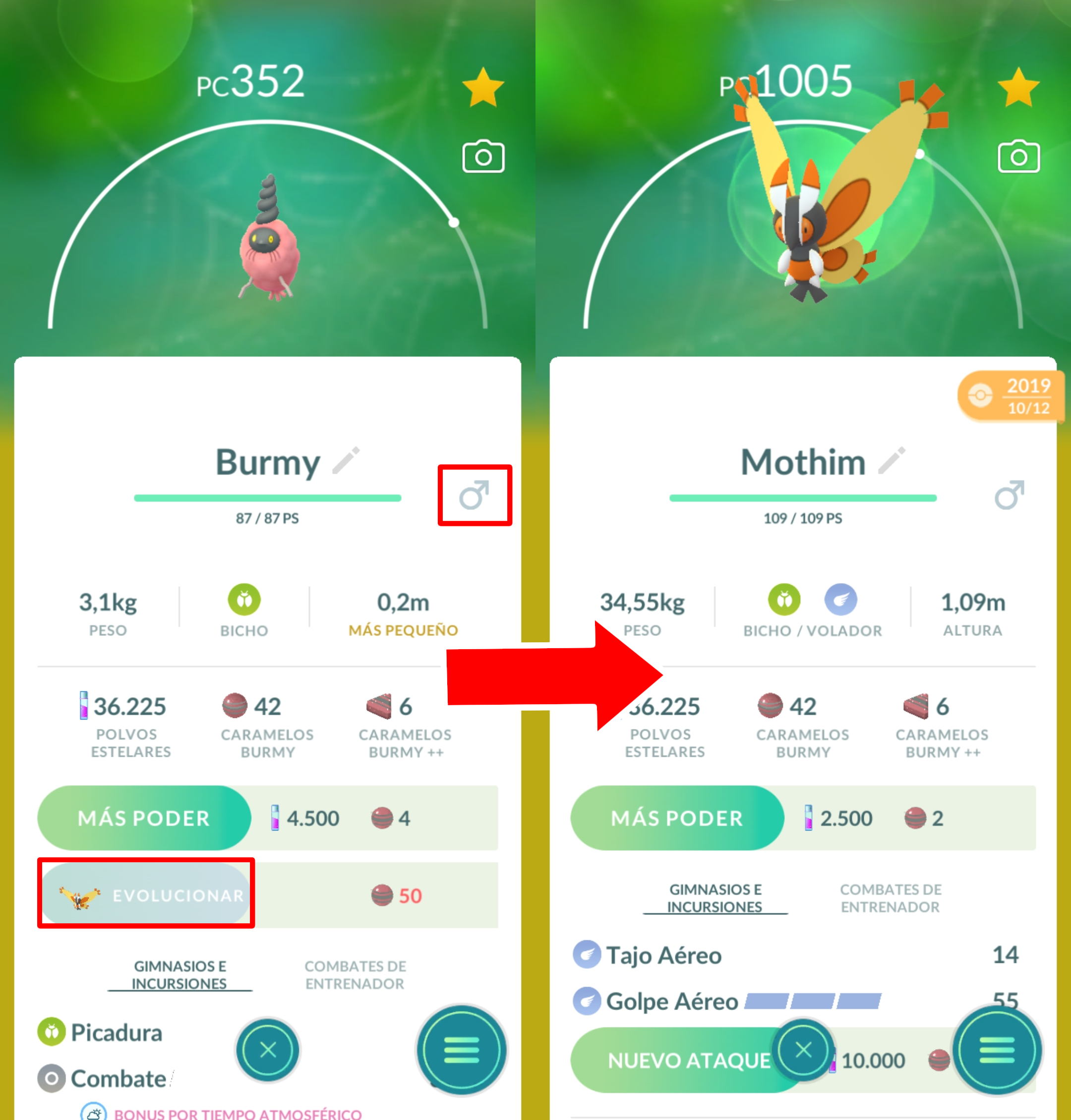 Gráfico De Evolución De Burmy
