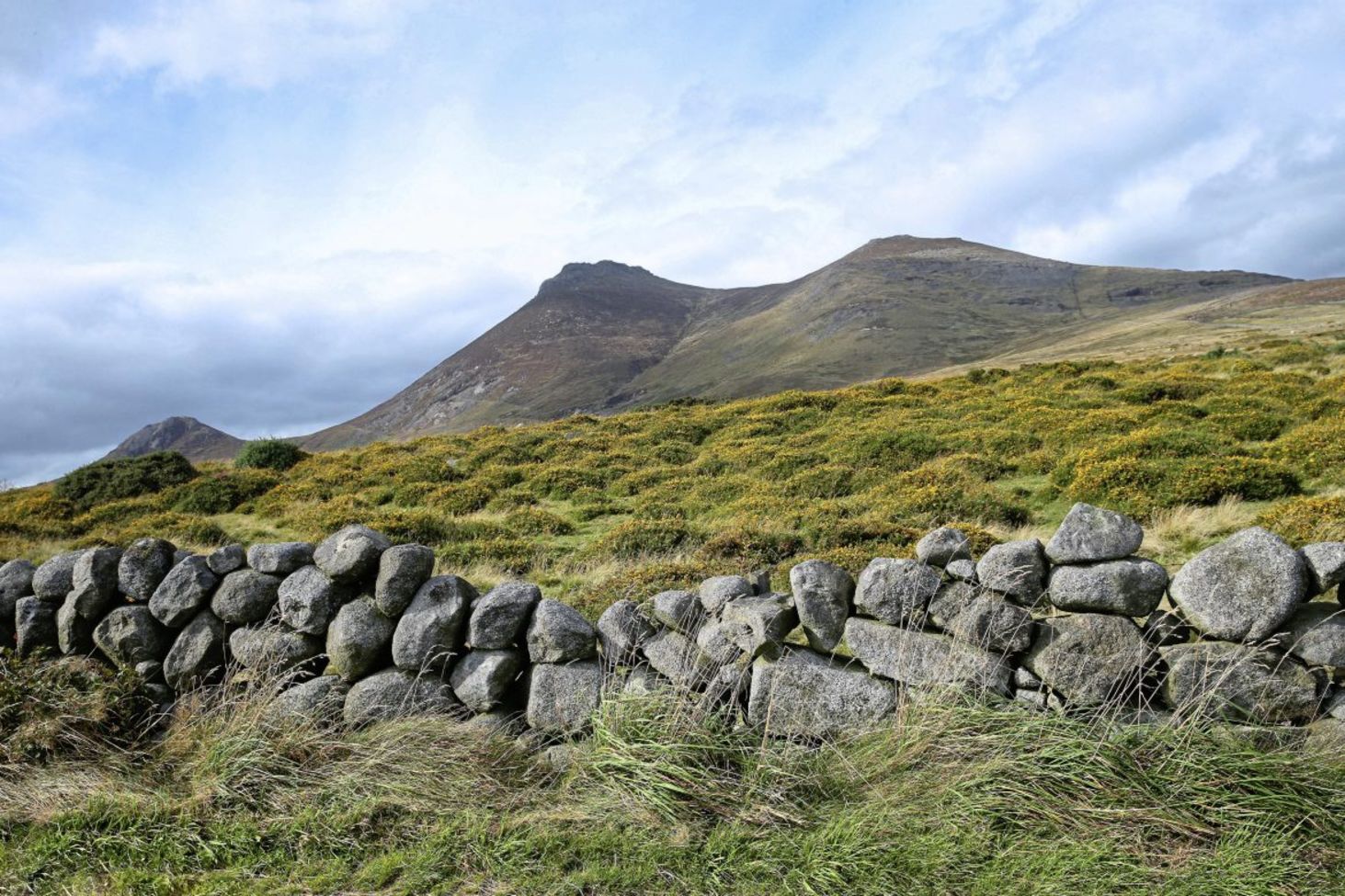 Dry Stone Walls Ireland