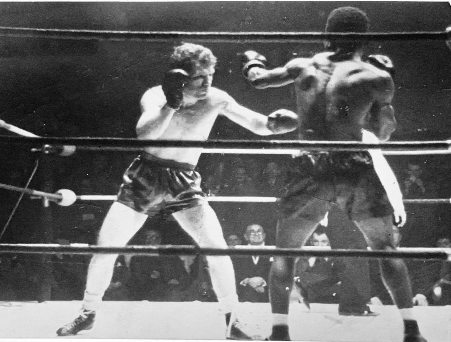 Jimmy Lynas Boxer