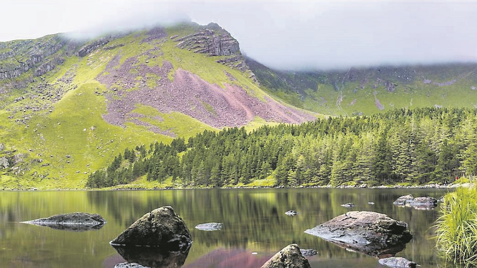 Coillte Dorcha Gealach Stop 4 Coillte Site & Doorla YouTube