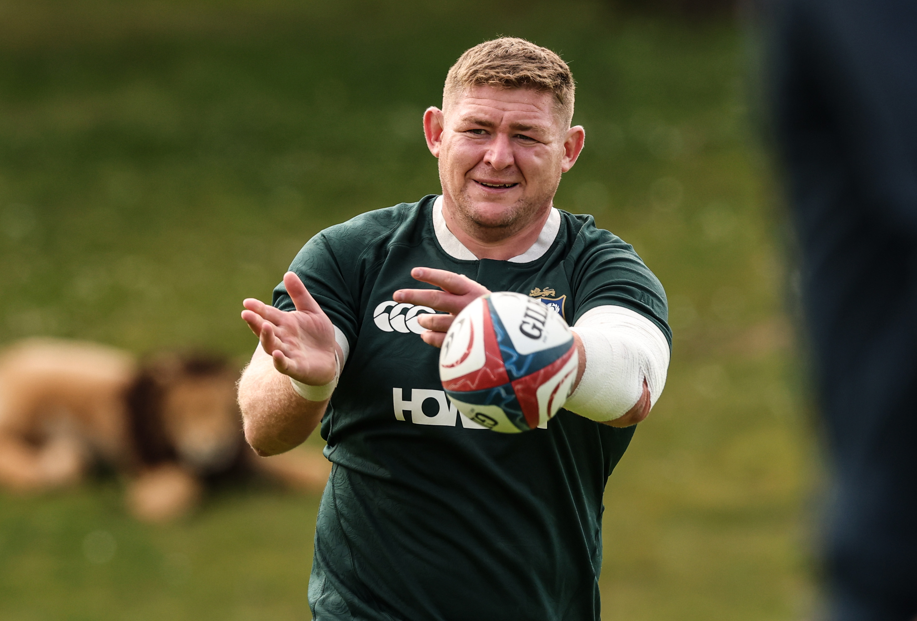 Veicteoir Imlíne Ceann Daonna