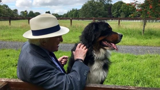 Trádáil Bóthair Síoda Na Síne Glansmispel Choisya Ternata