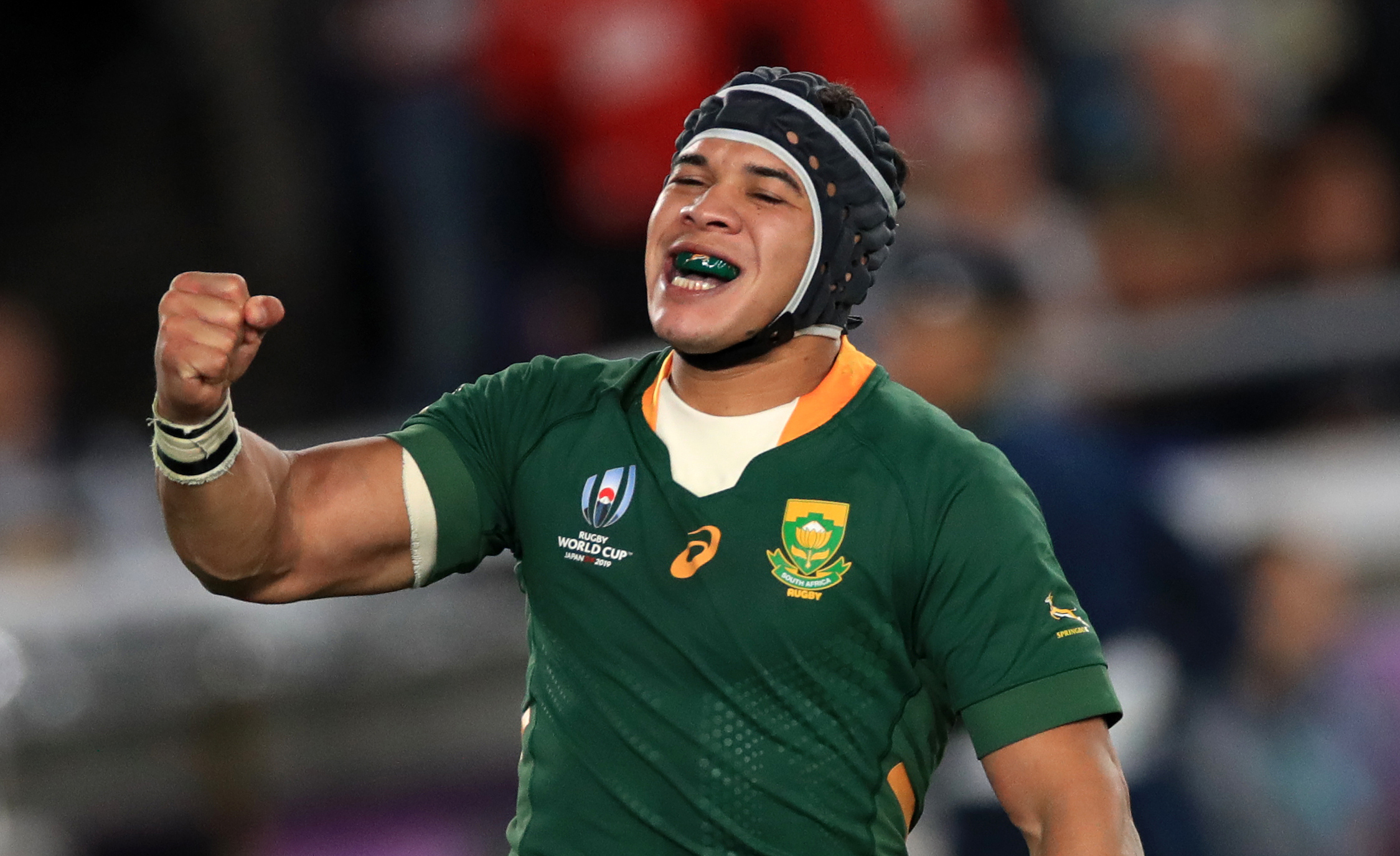 Cheslin Kolbe Profile