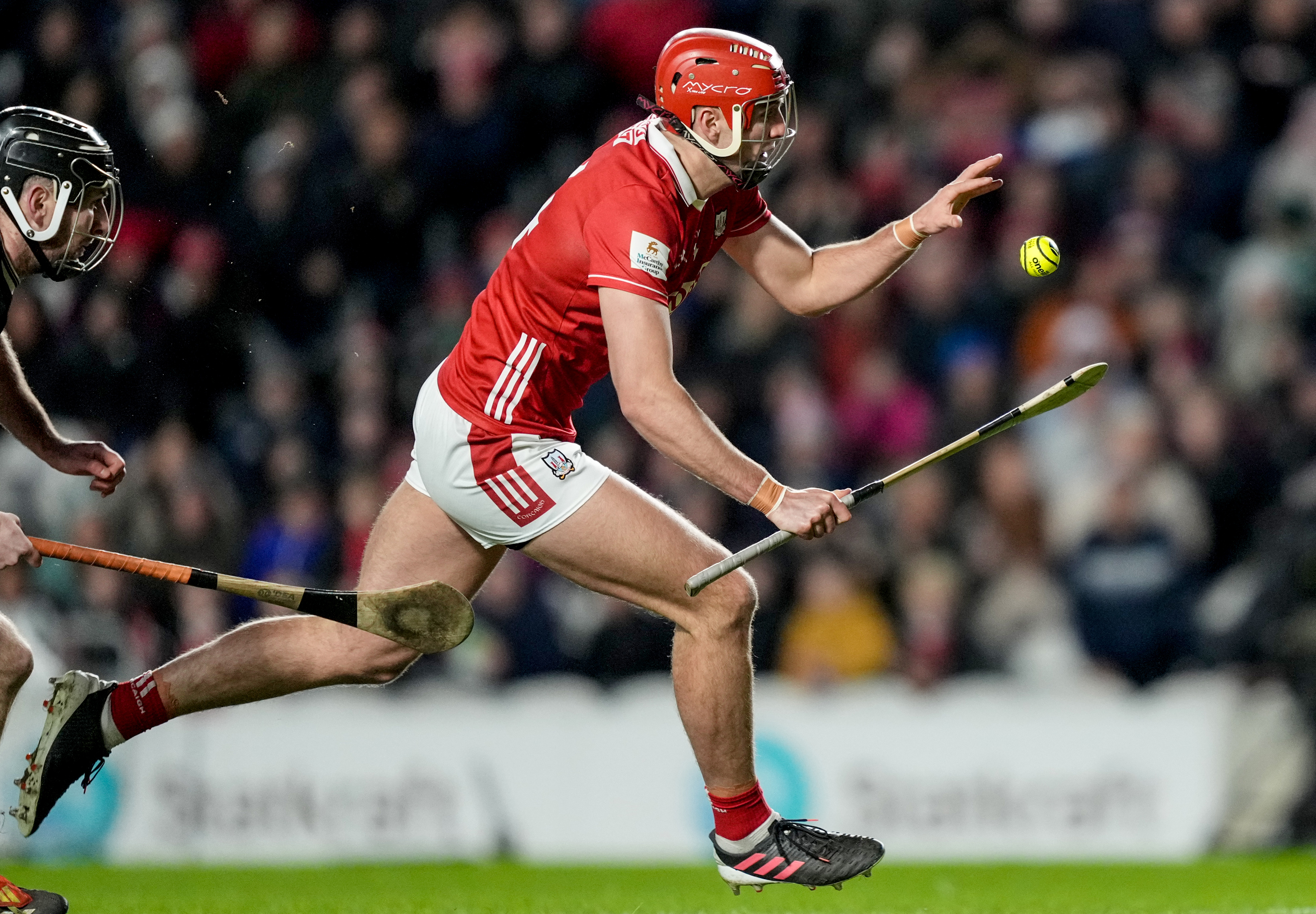 Líníocht Brainse Crann Giúise Comhad Veicteoir SVG Dubh Agus Bán