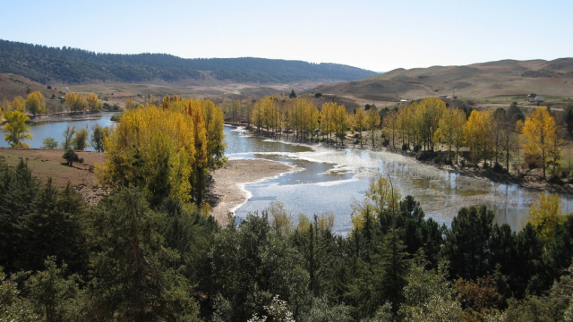 Escapade: 7 bonnes raisons de découvrir Ifrane au printemps | le360.ma