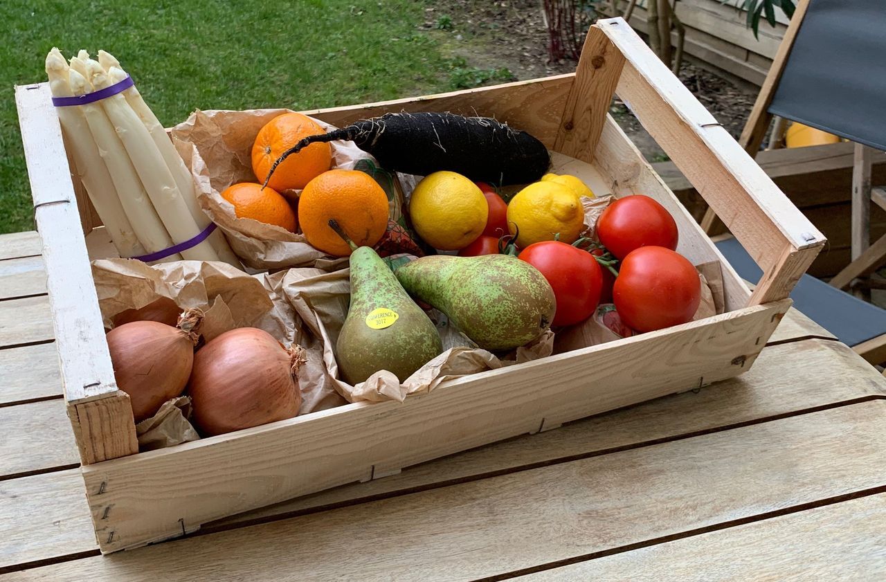 Bio, responsable, local… en 2020, on s’est fait plaisir dans les rayons ...