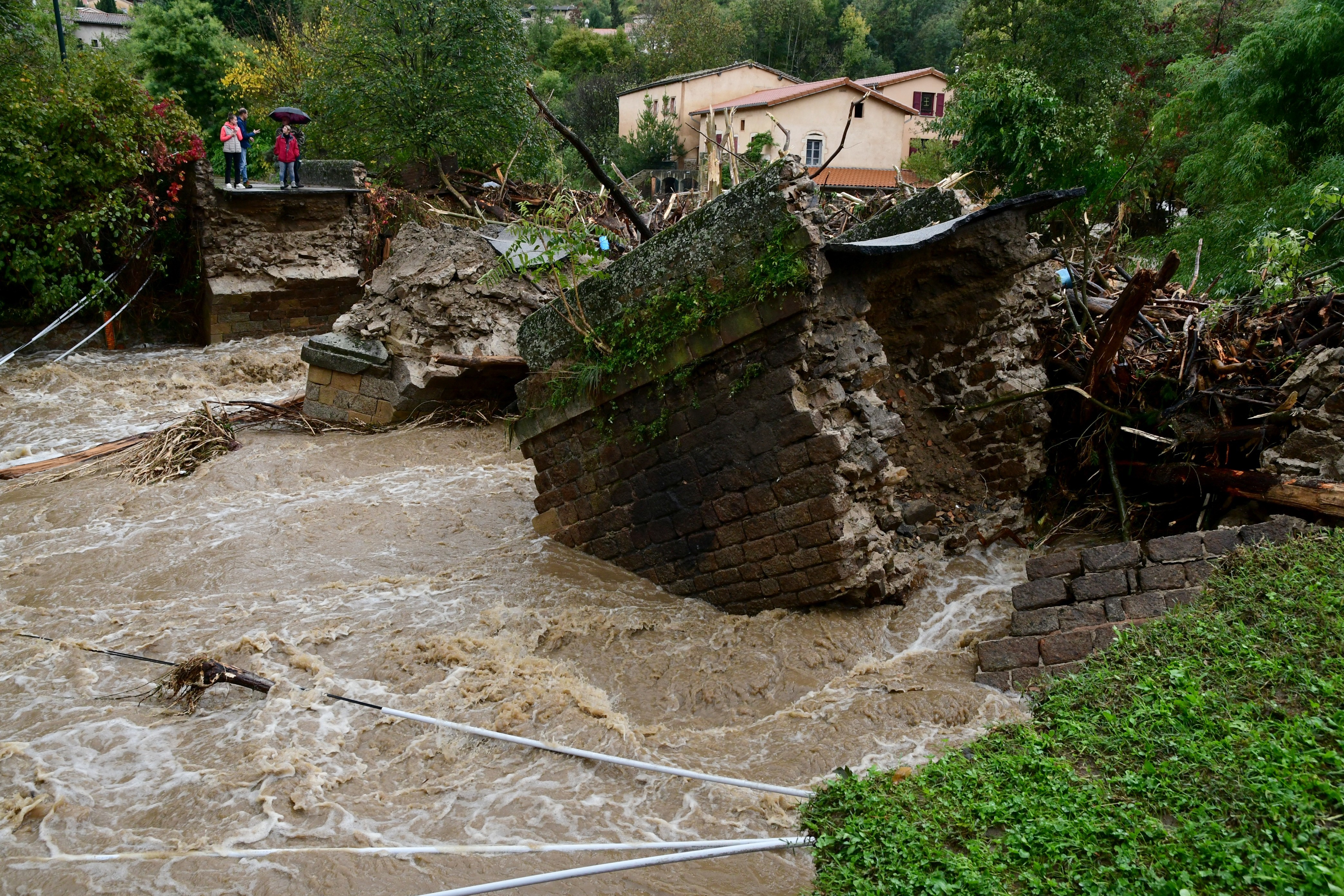 Challenge Ma Terre : planter une mini-forêt, ça vous tente ? Rendez ...