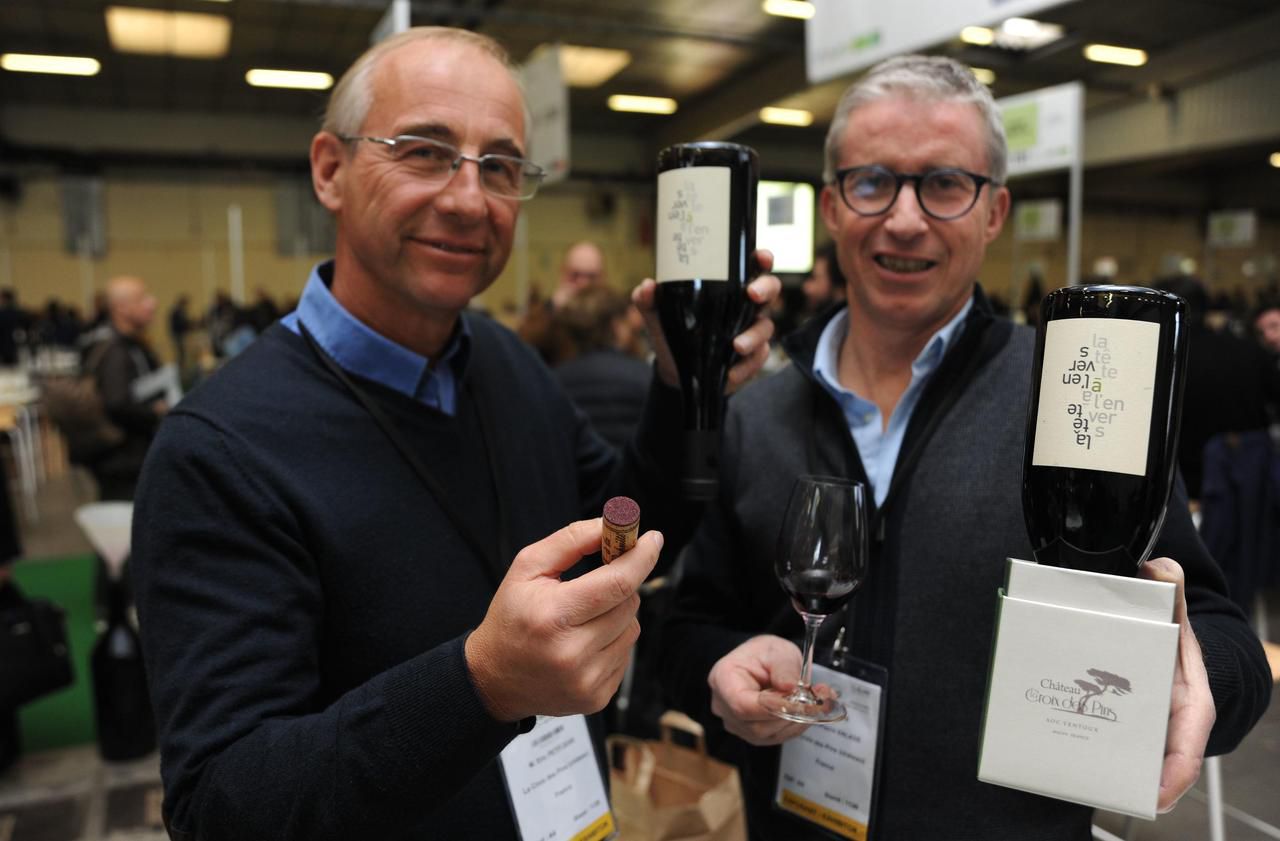 Vaucluse : tous les articles page 12 - Le Parisien