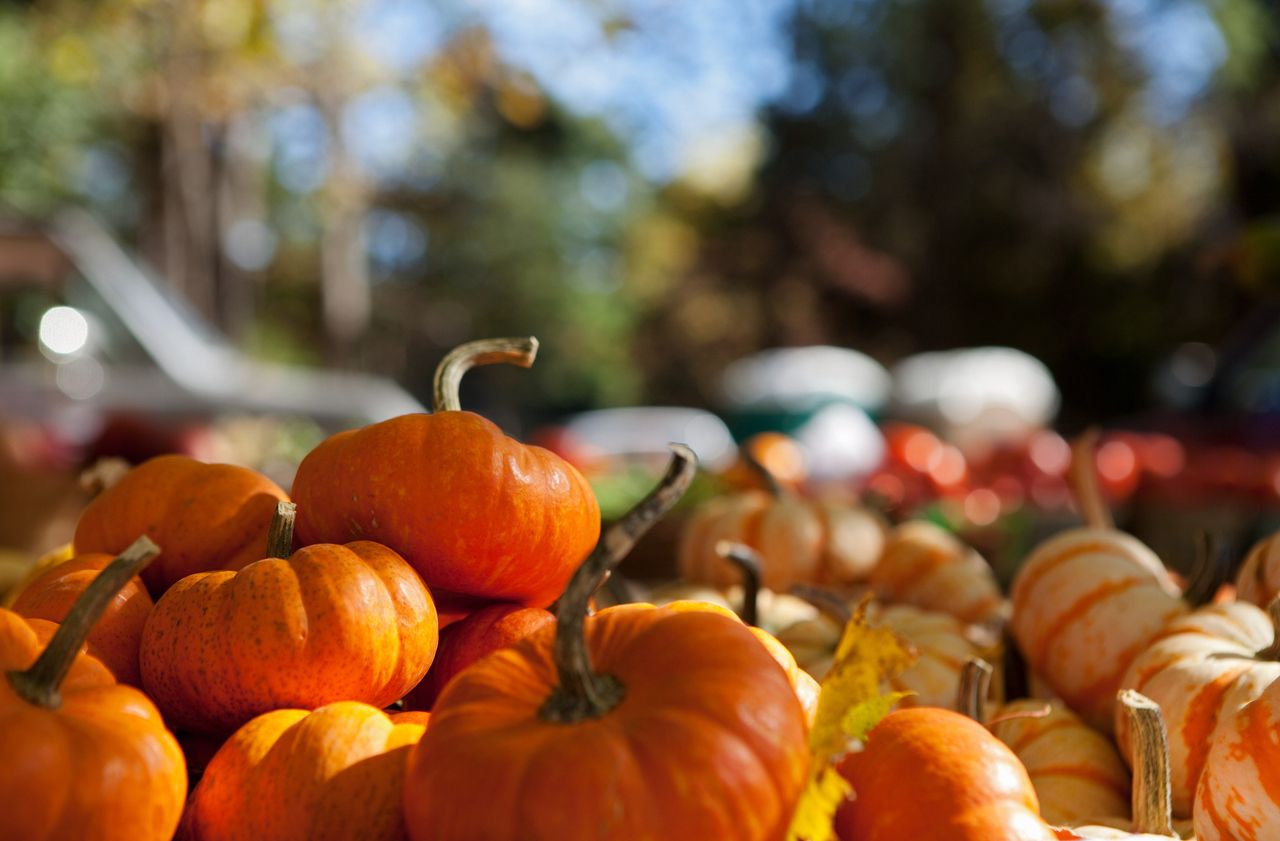 Le potiron, un légume minceur excellent pour la santé - Le Parisien