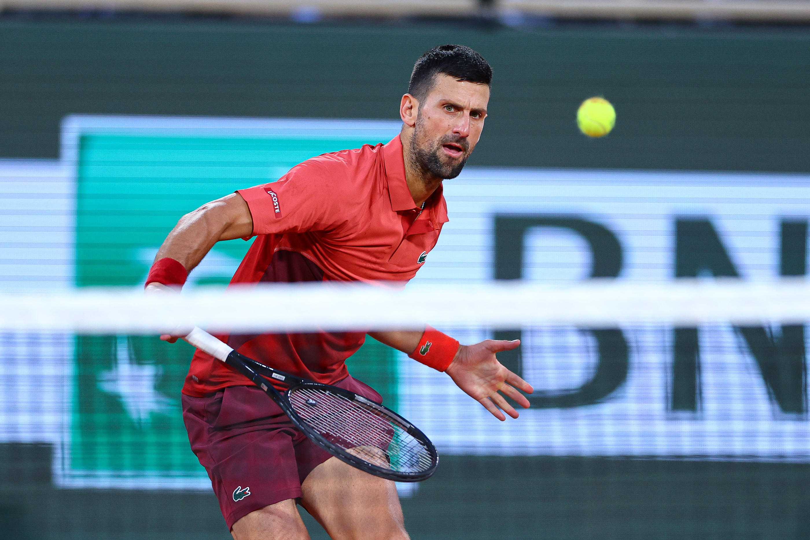 Novak Djokovic - actualités, résultats des matchs et palmarès