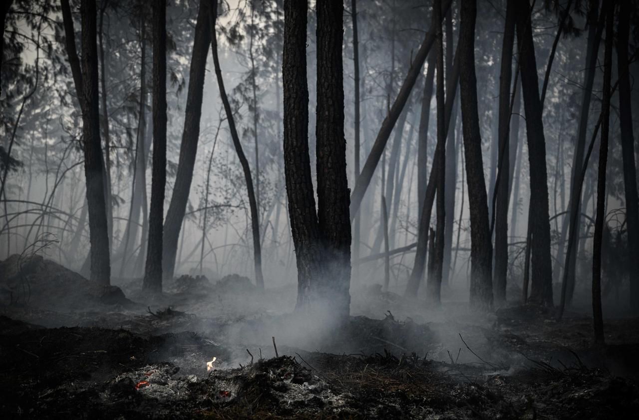 Incendies : 500 hectares partis en fumée en Gironde et dans le Loiret - Le Parisien