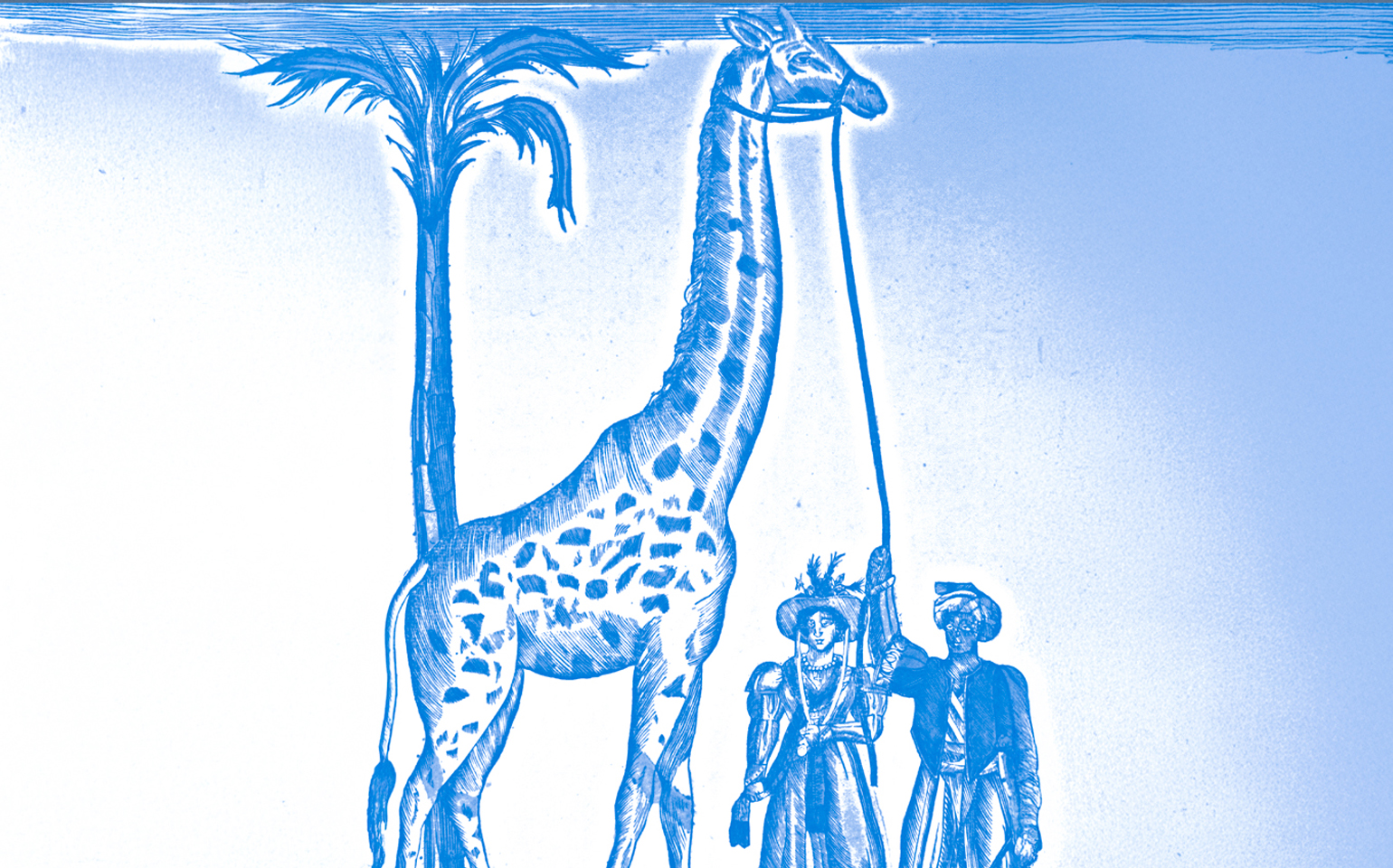 Elle comprenait 2 000 mots, maîtrisait 1 000 signes… Koko, le gorille ...