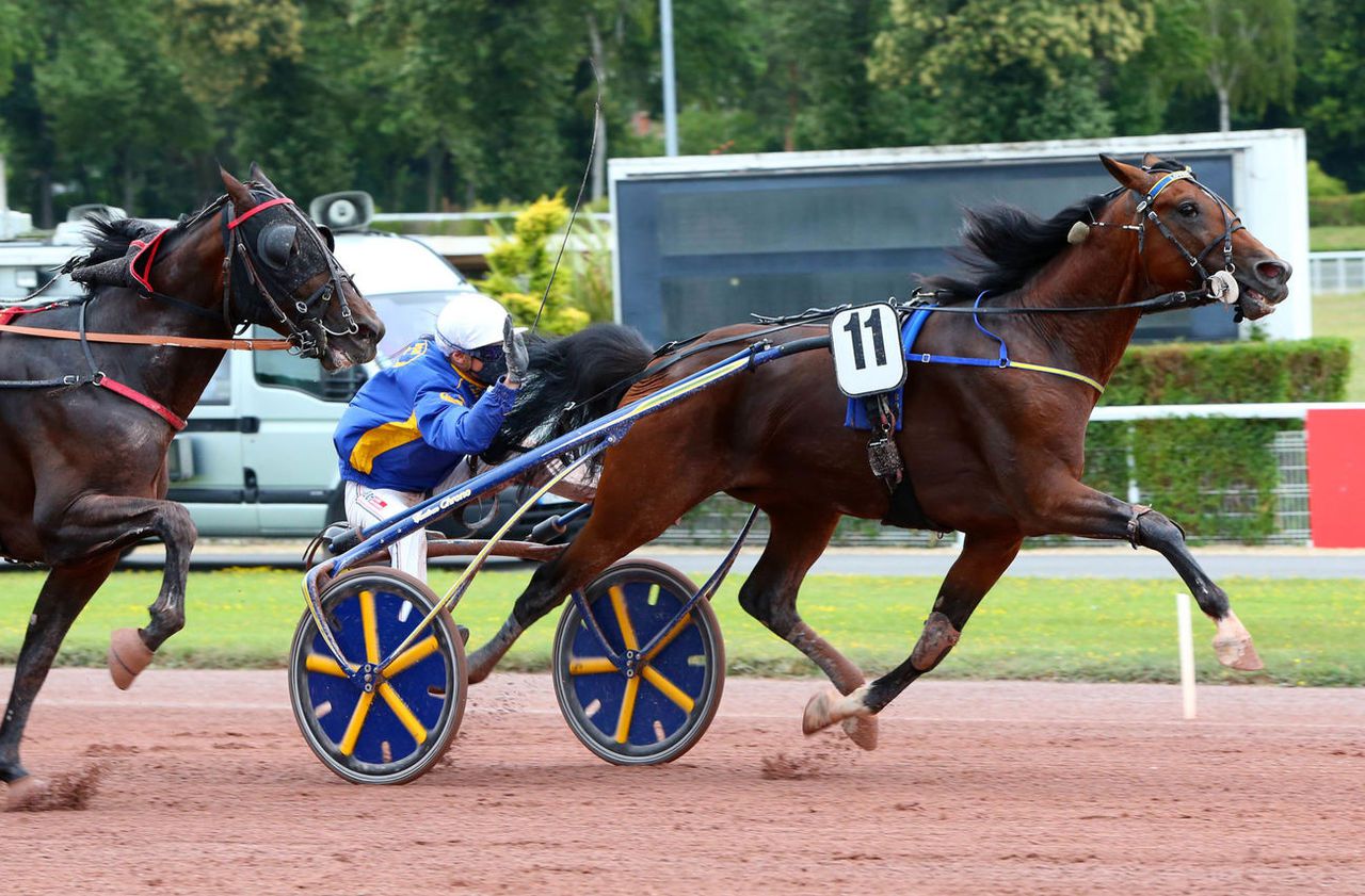 PMU. Arrivée du quinté du samedi 27 juin à Enghien : Lover Boy gagne au ...