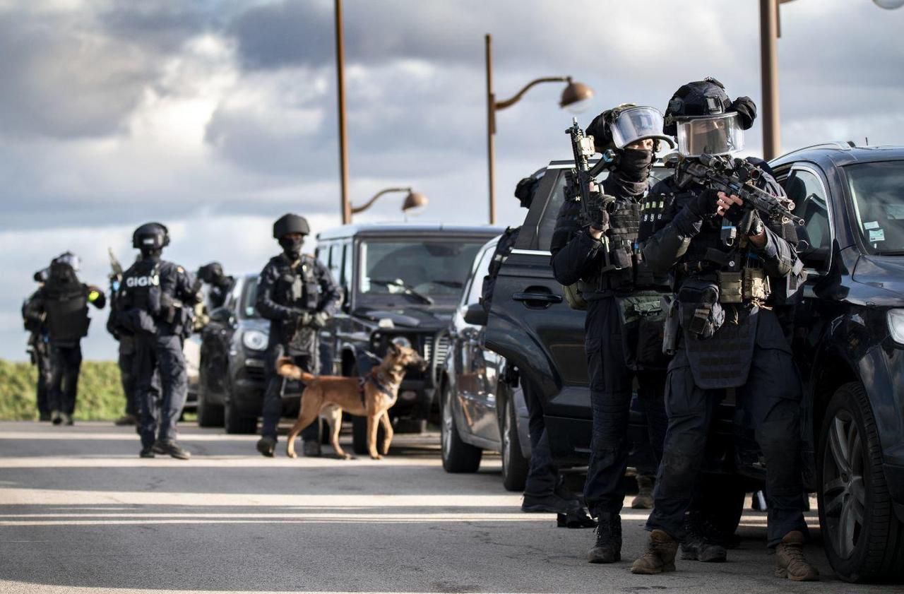 Le forcené tire 150 fois sur le GIGN, il est maîtrisé par un chien d ...