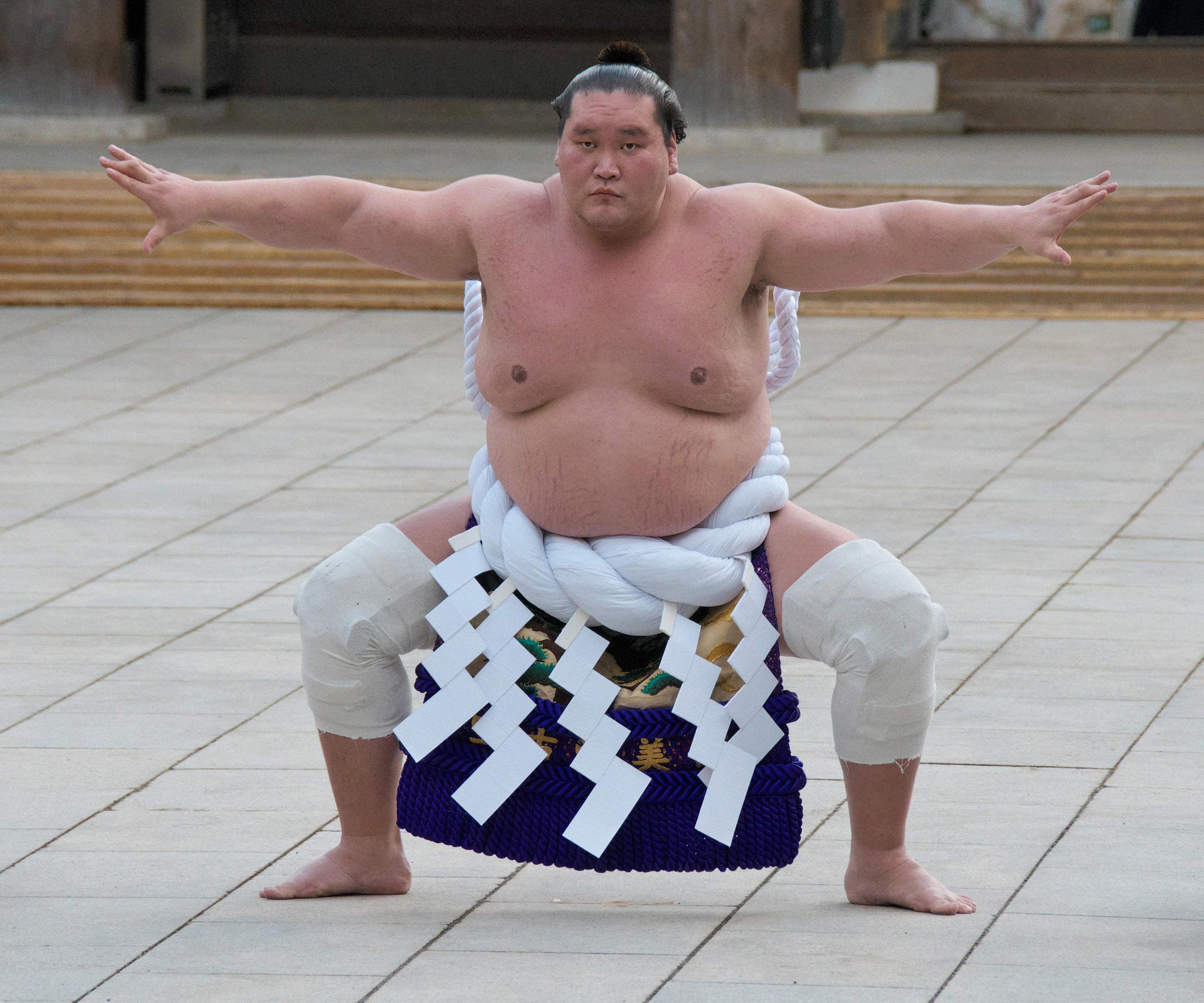 Le Lutteur De Sumo Le Plus Gros Du Monde