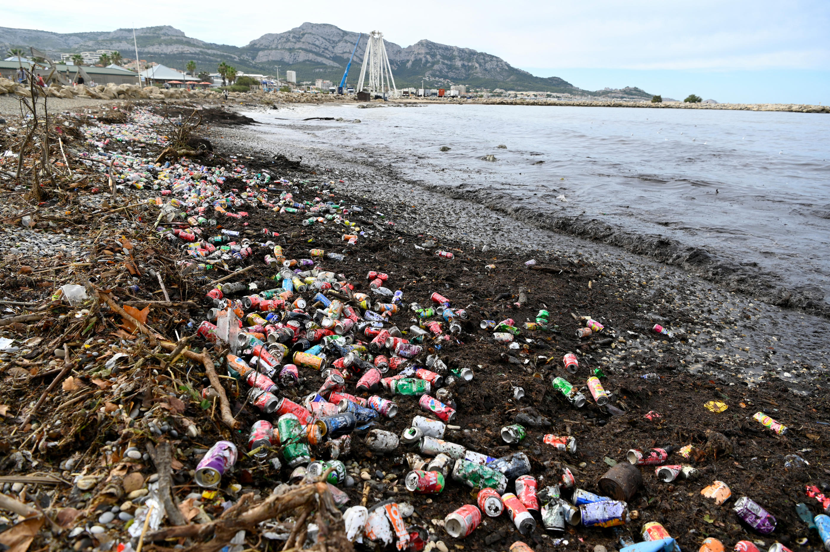 Environnement : tous les articles page 5 - Le Parisien
