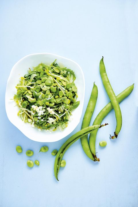 La fève, reine du printemps - Le Parisien