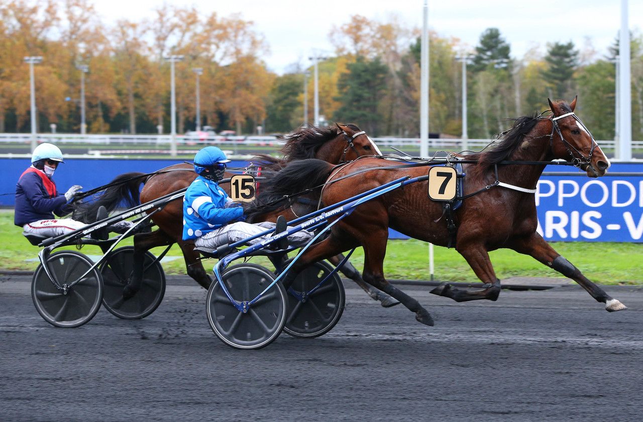 Pmu Arrivée Du Quinté Du Lundi 2 Novembre à Vincennes Brillant