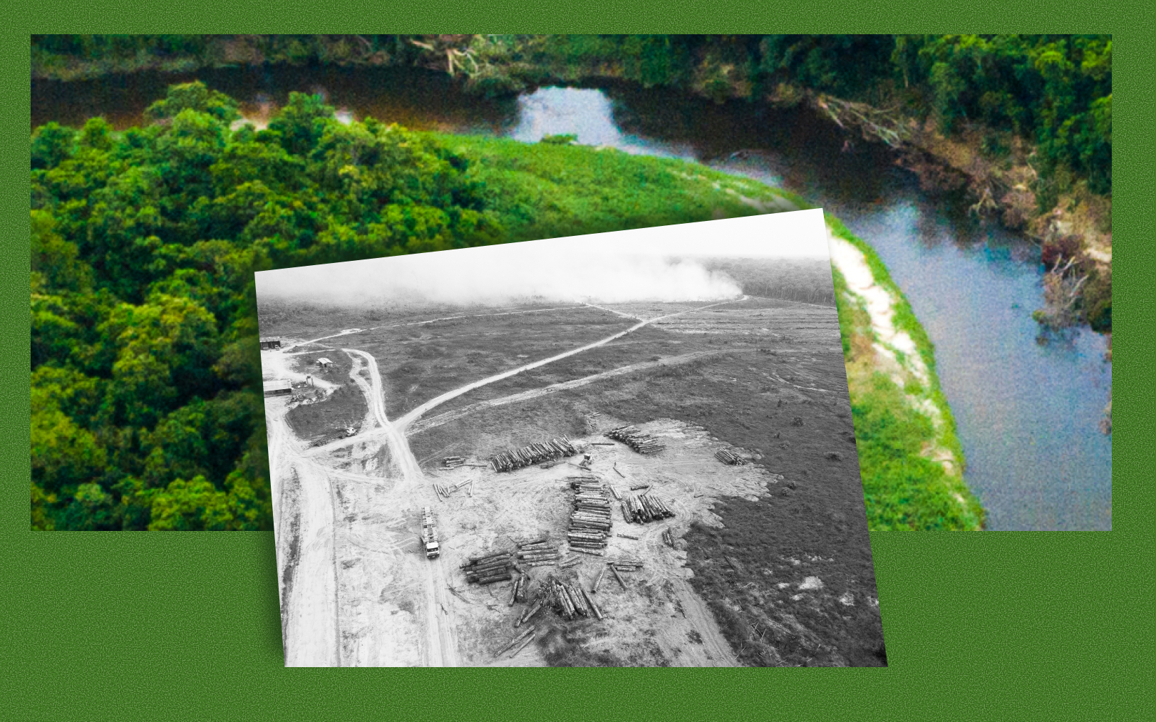 COP30 à Belém : à qui appartient l’Amazonie ? - Le Parisien