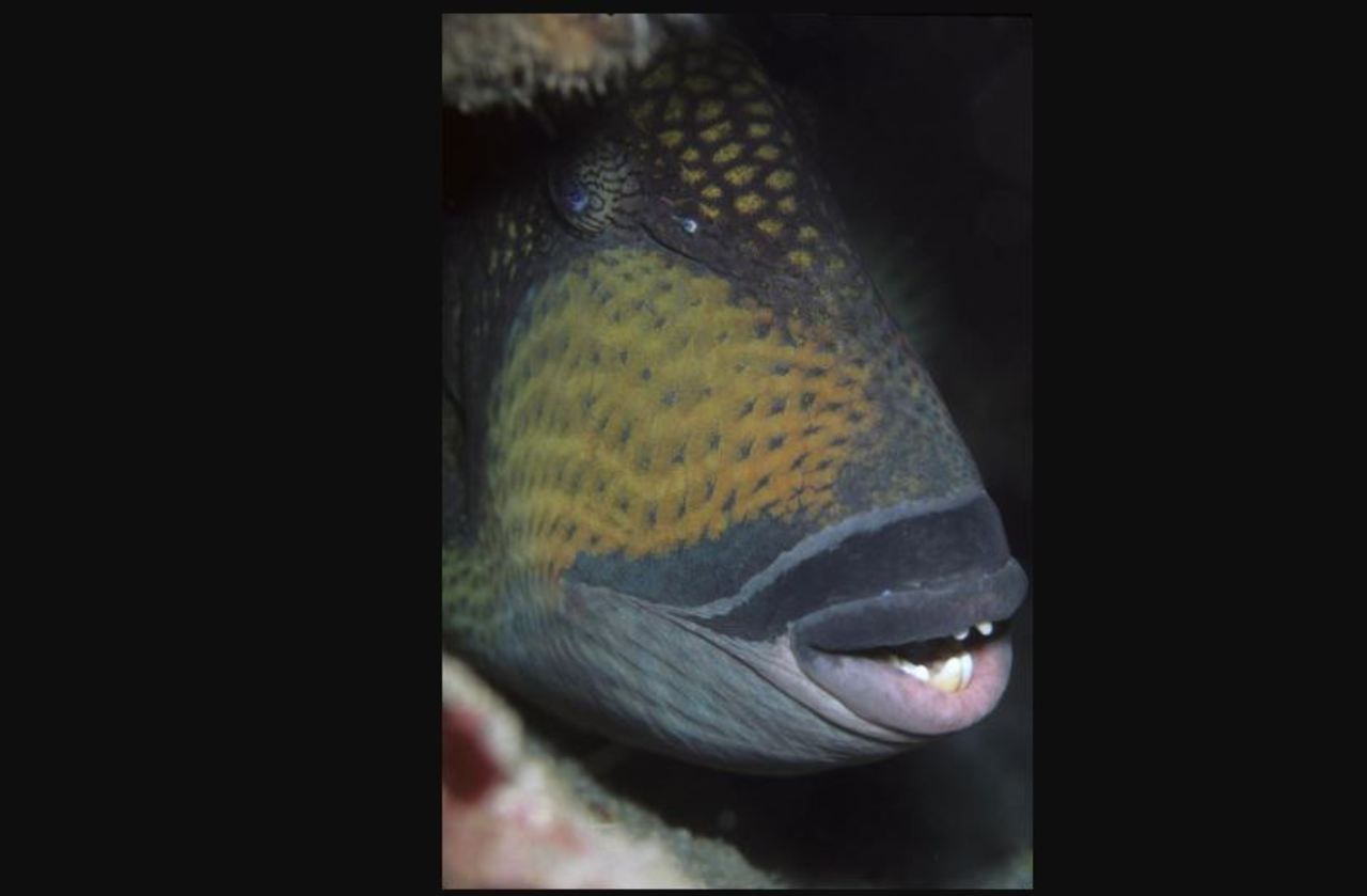 Manche : tous les articles page 10 - Le Parisien