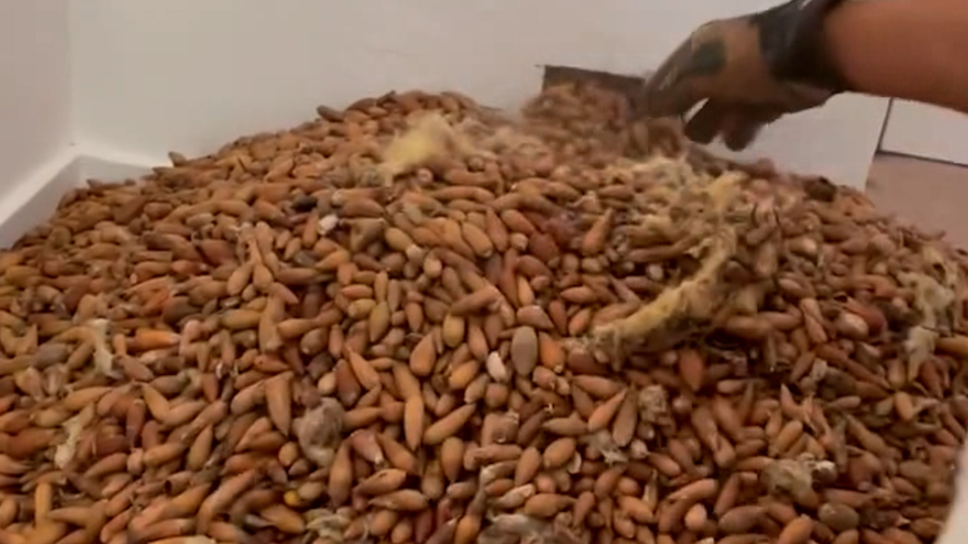 Les derniers articles d'Alicia Roux