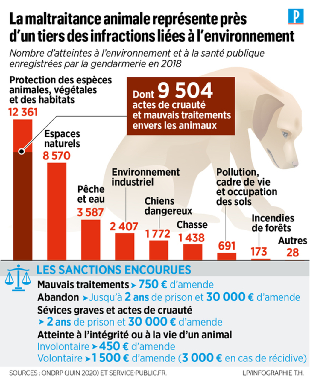 Maltraitance Des Animaux Domestiques