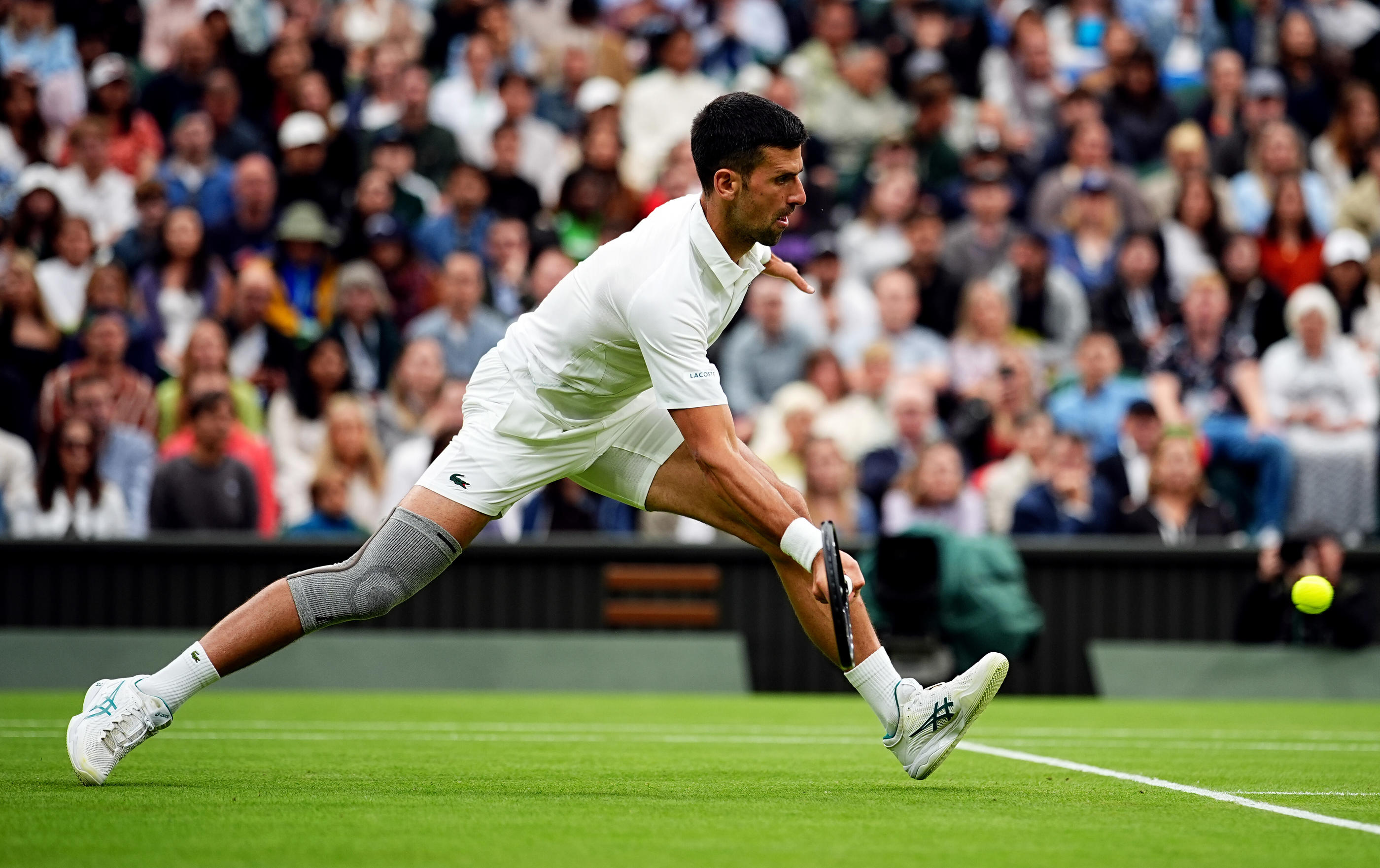 Novak Djokovic - actualités, résultats des matchs et palmarès