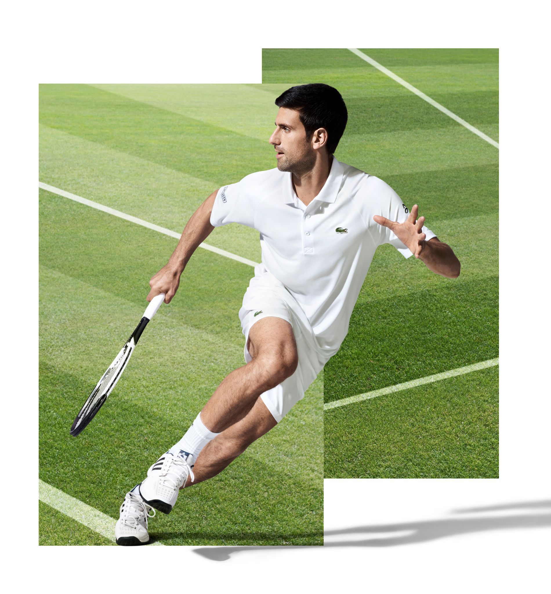 Novak Djokovic nouvel ambassadeur Lacoste L Express
