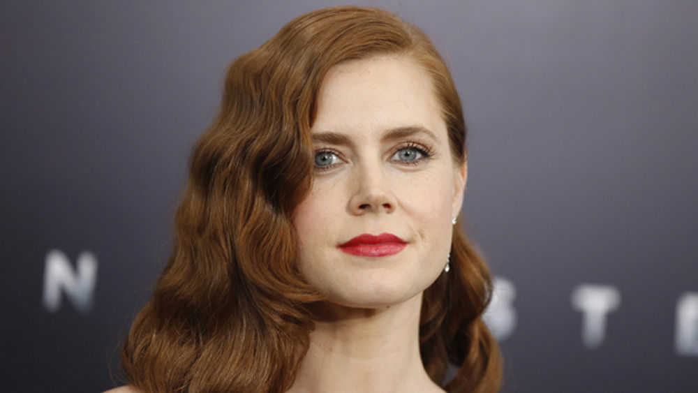 Entretien Avec Amy Adams Sur L'année Bissextile Actu People: Amy
