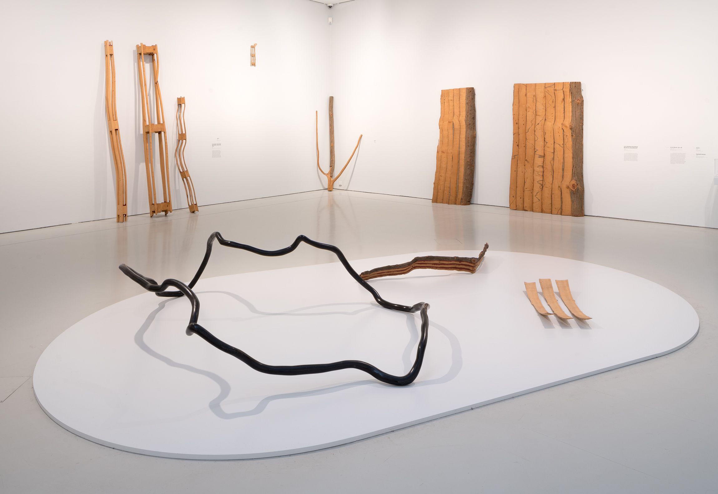 Letizia Dannery - L'Express