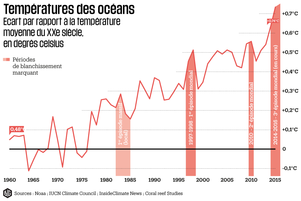Conception Graphique De Corail