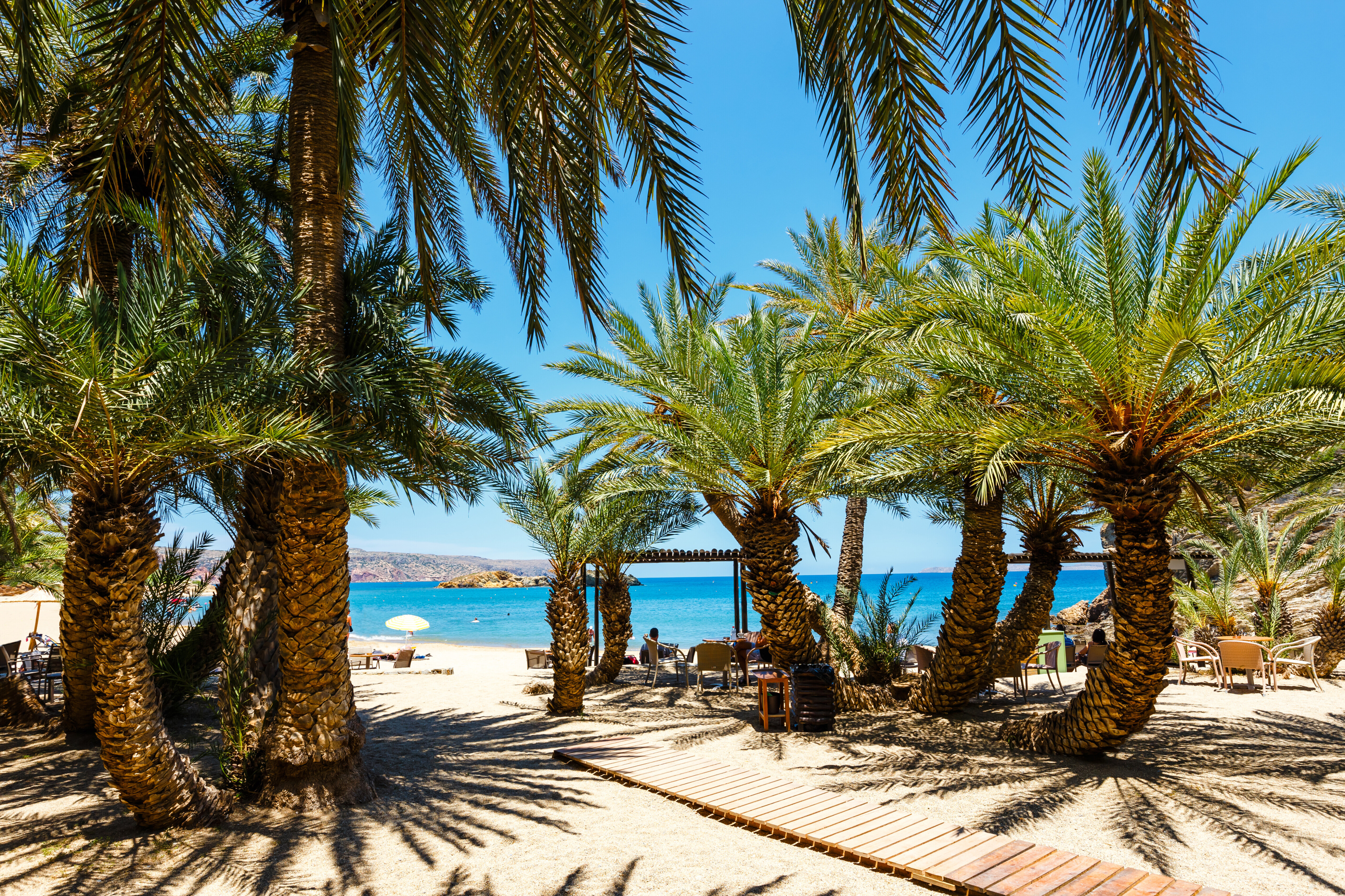 Top Palmen Strand Und Vai Panorama Strand Palmenstrand Vakantie Kreta