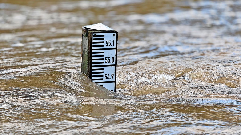 1 Gauge Hagle GAUGE 1 Tenmille