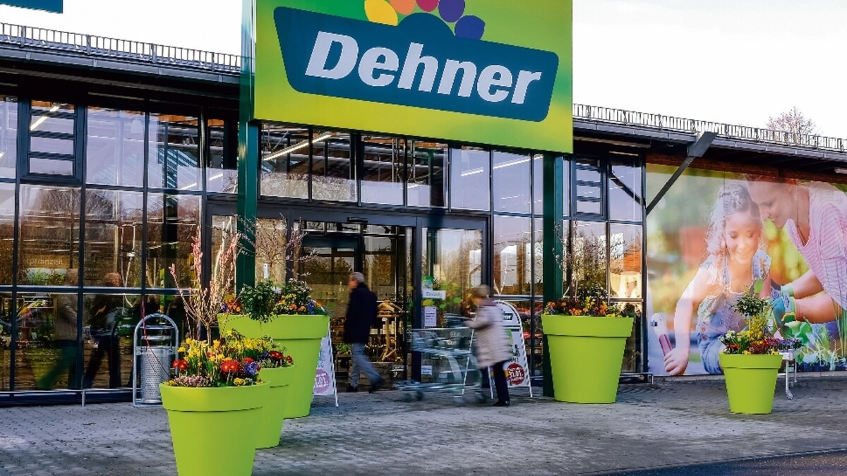 Dehner Dresden Dehner Marienberger Straße 61 In 01279 Dresden