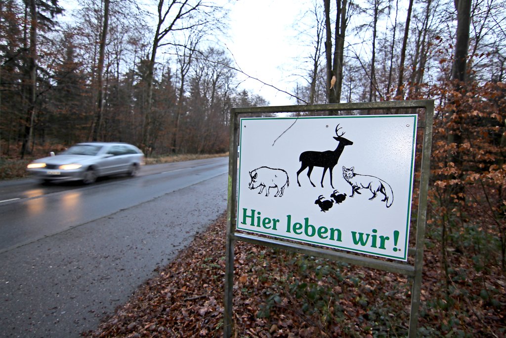 Druckbares Wildwechselschild Vor Industriegipfel Mit Dem Kanzler: Das