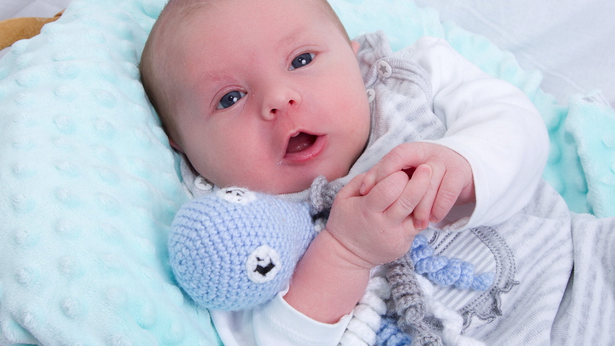 Dominic Wolff's Instagram, Twitter & Facebook on IDCrawl