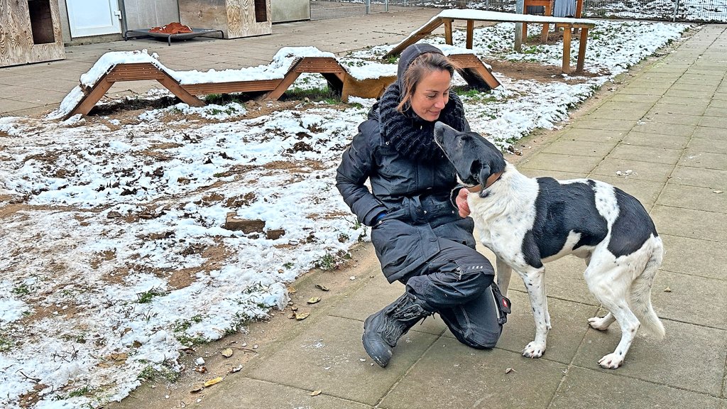 Minste Ekte Hund I Verden "Det Var Da Det Ble Ekte For Meg", En