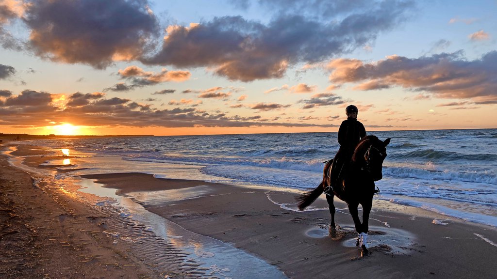 Reiten Am Strand Bei Sonnenuntergang