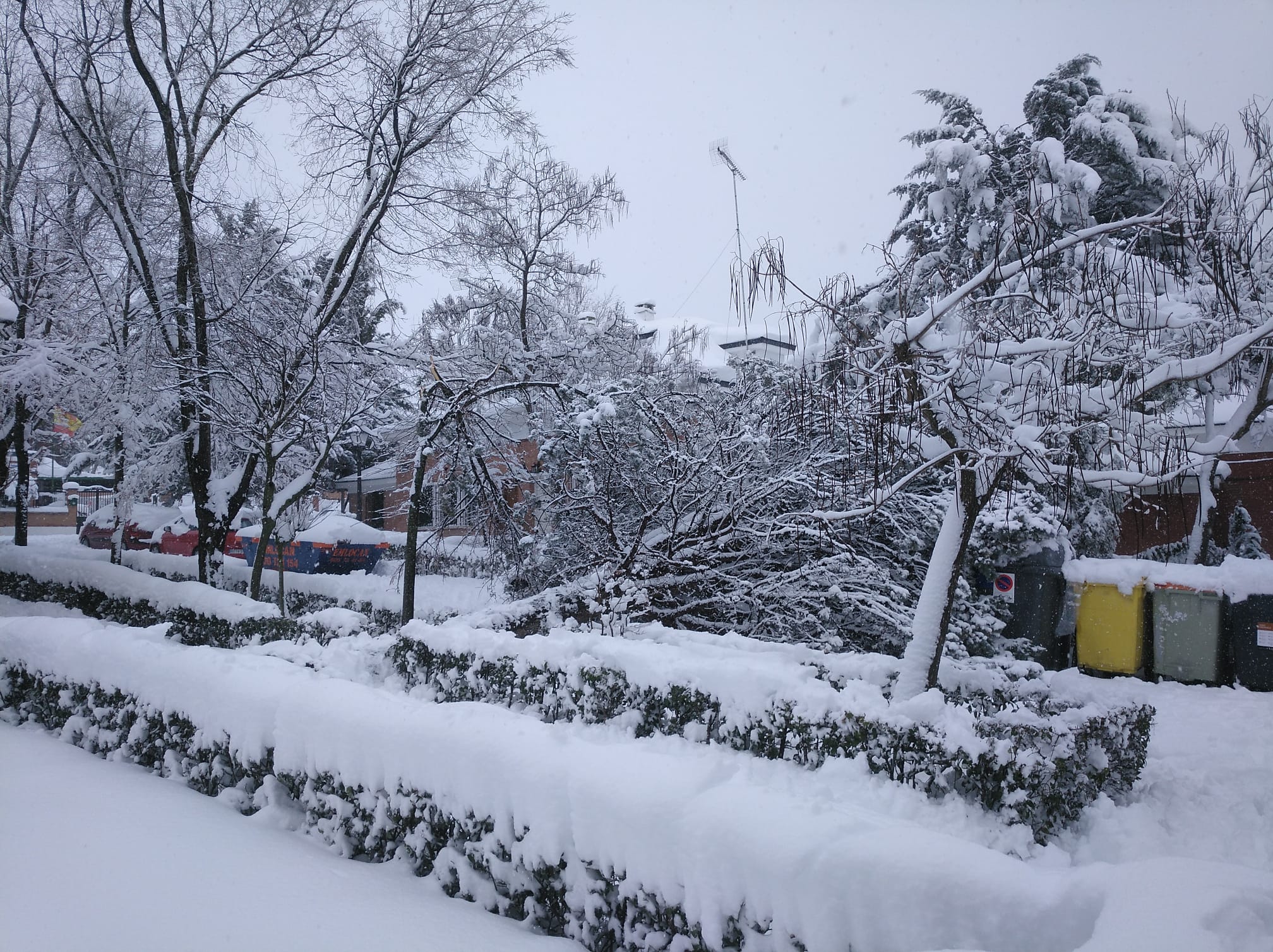 Temporal Filomena: “Estamos quemados tras 12 horas sin luz y llevan así ...