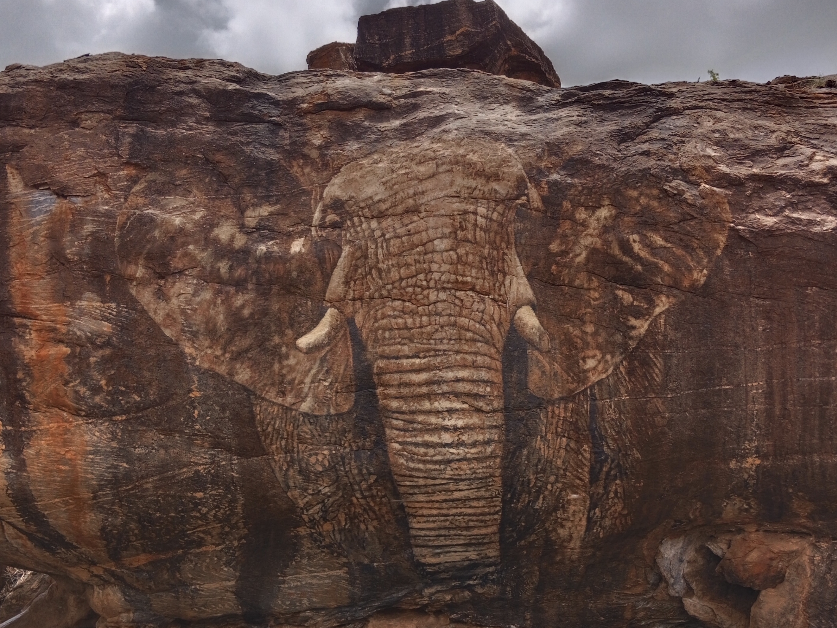 Elefante Norte Africano Extinto