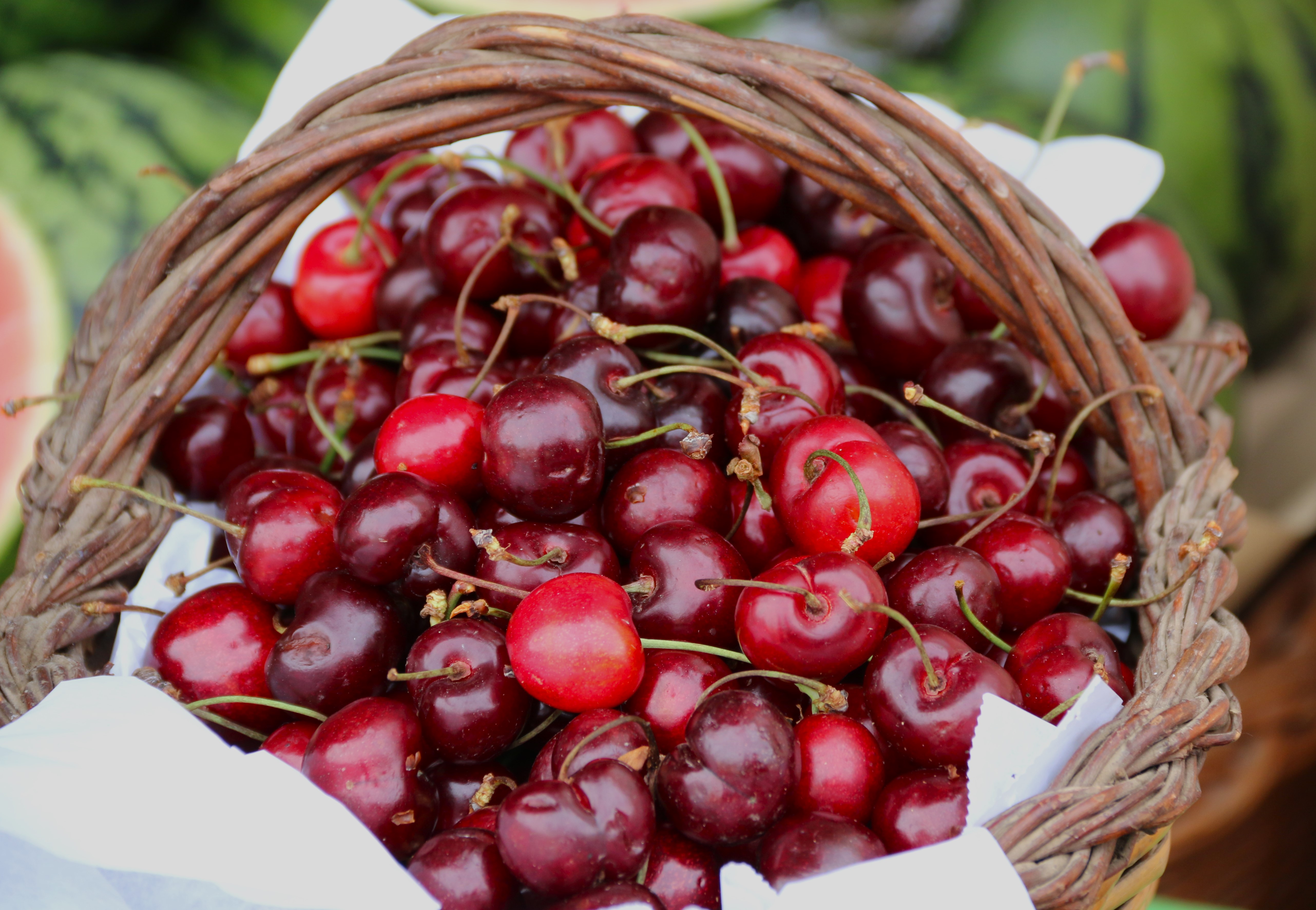 Las 15 Mejores Cerezas La D.O.P Cereza Del Jerte Cifra En 15 Millones
