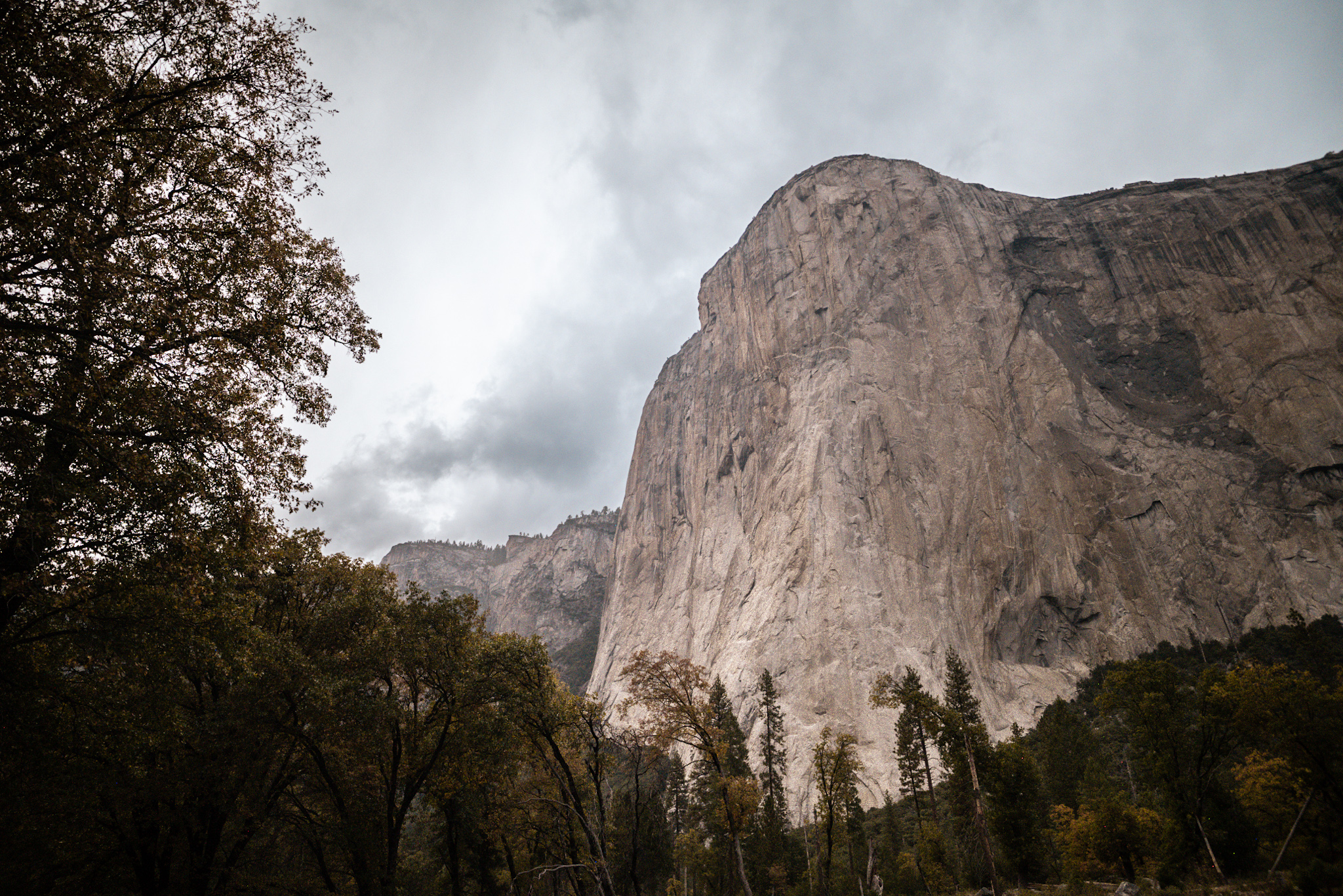 Naturaleza Del Parque Nacional De Yosemite