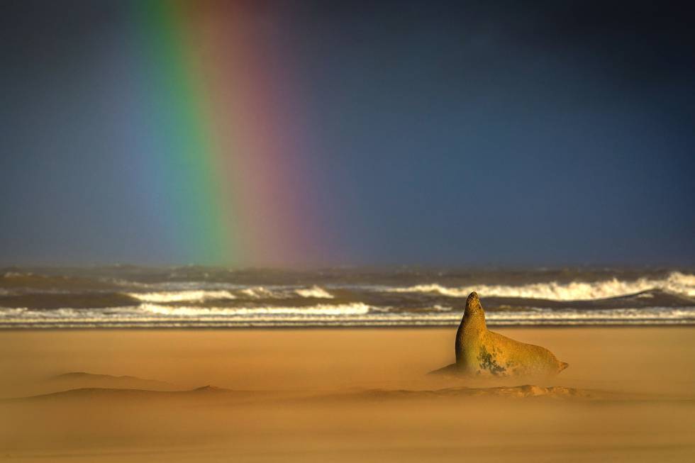 Sean Weekly: En comunión con los elementos | EL PAÍS Semanal | EL PAÍS