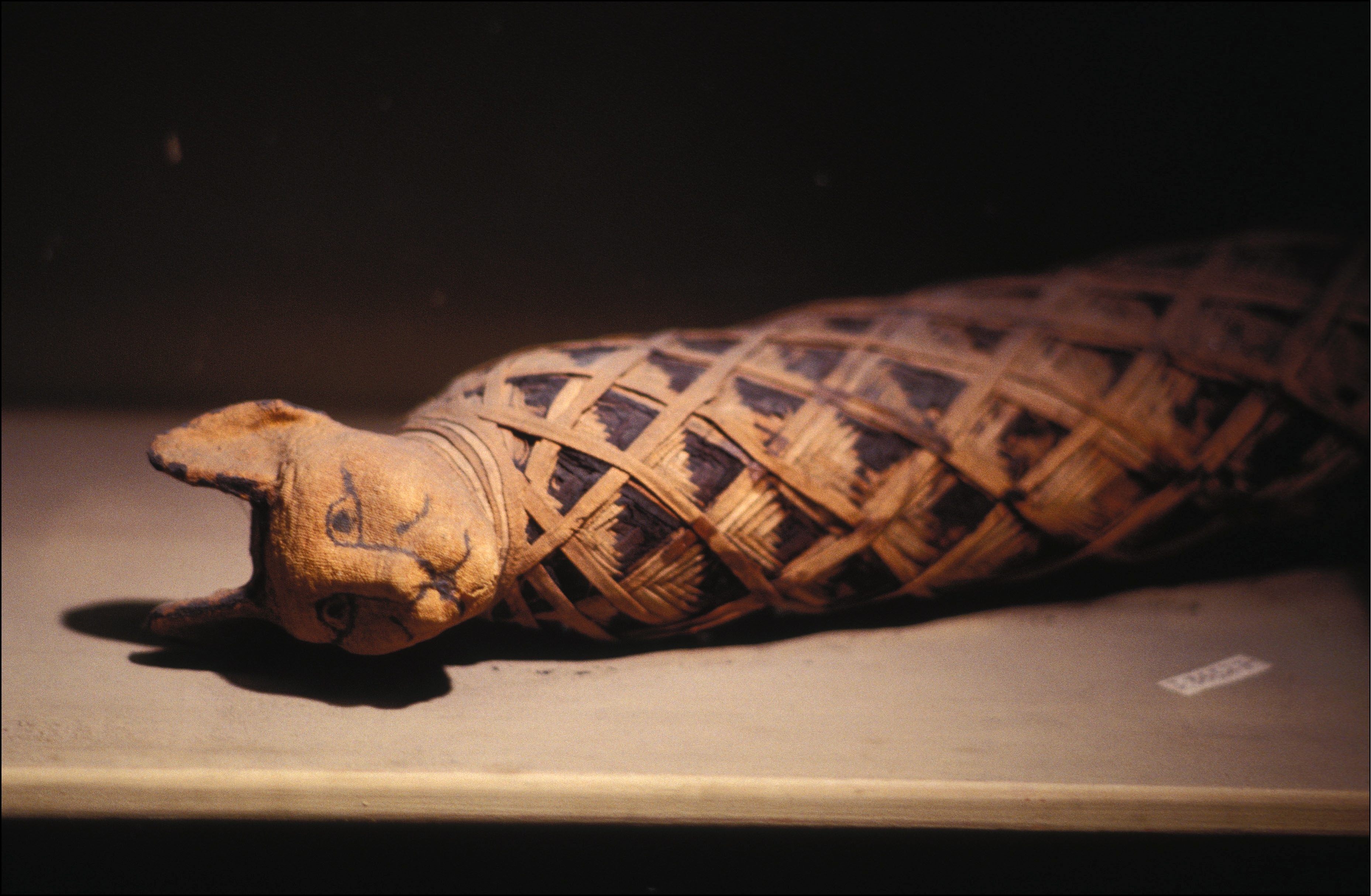 Ancient Egyptian Sacred Animals