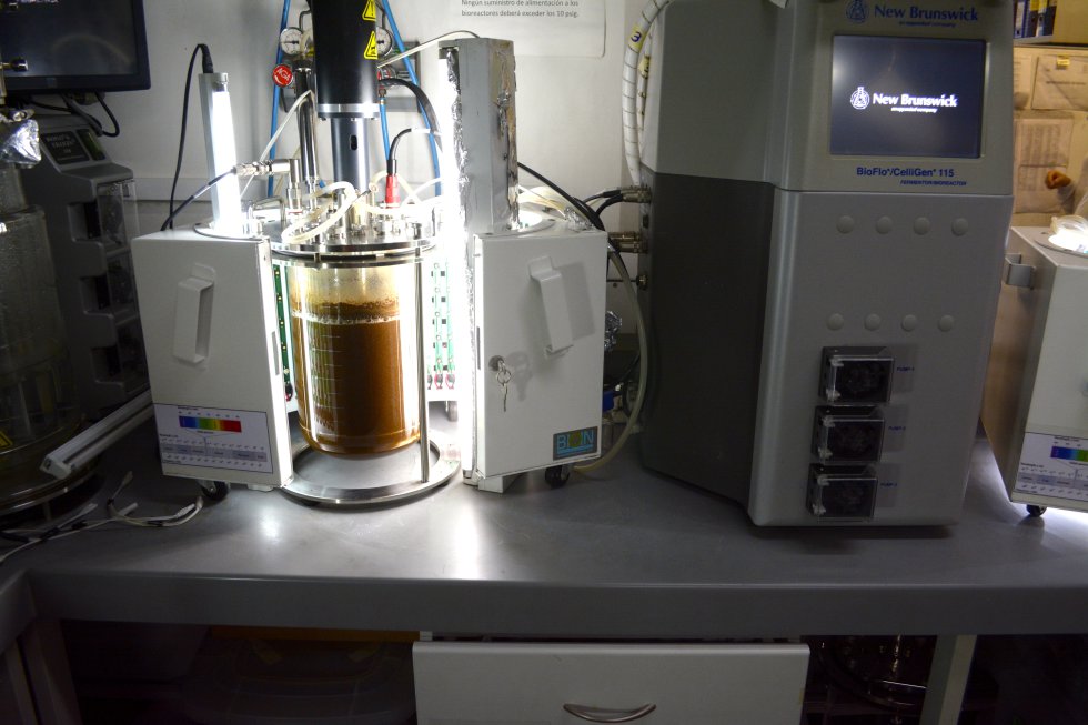 Laboratorios De Chocolate Para Bebés