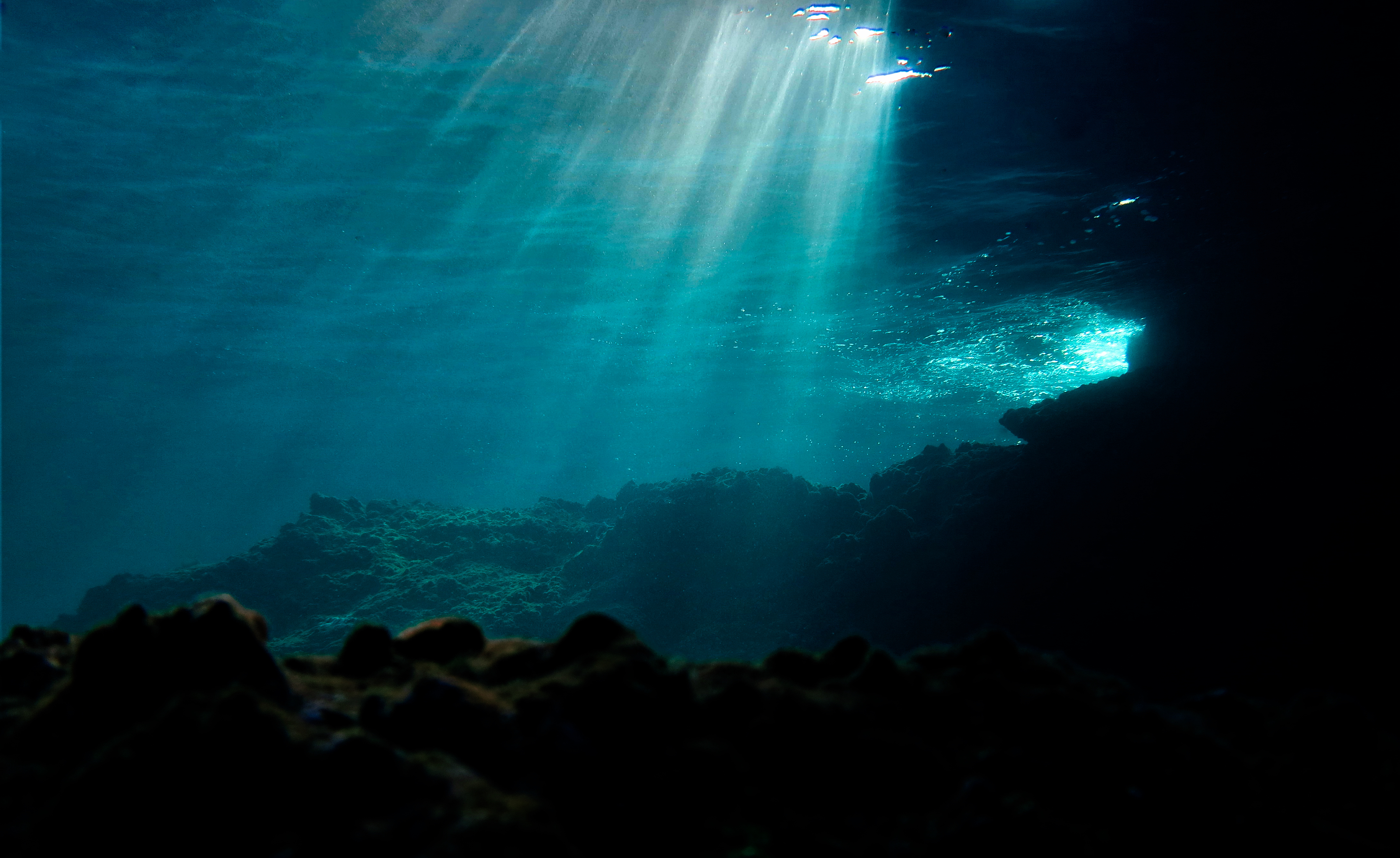 Fondo Marino Profundo Y Oscuro Mar Profundo | Habitat | Monterey Bay